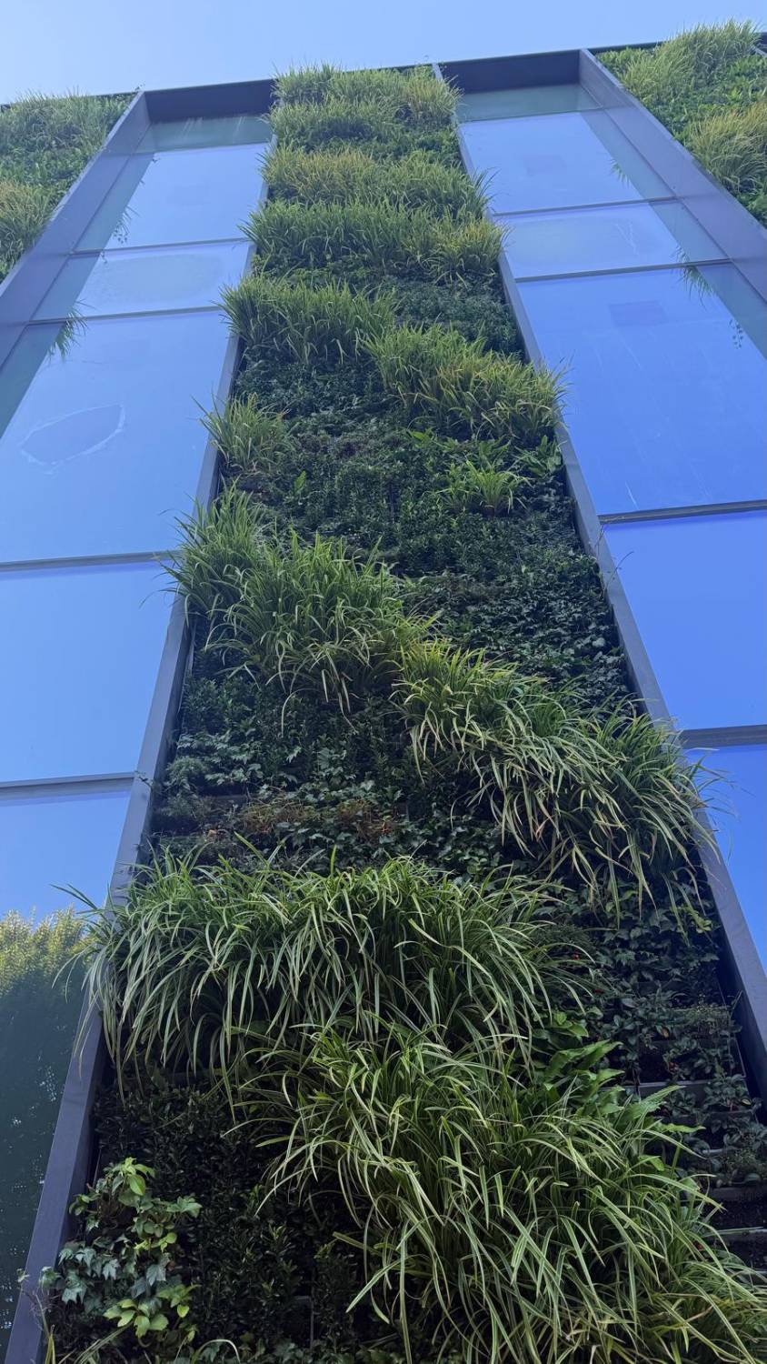 Trinity by Breakthrough Properties | I Want Plants Ltd | NBS Source
