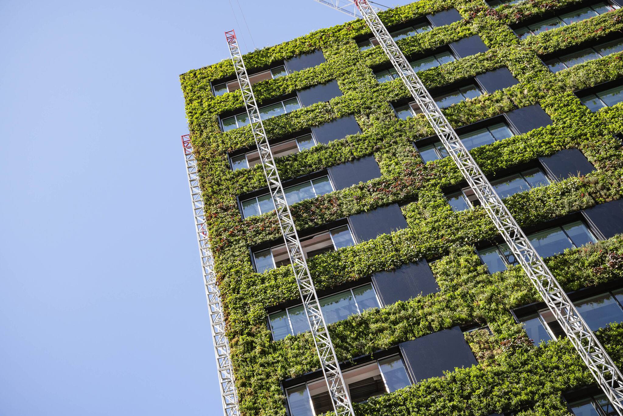 ANS Aluminium Top Hat Build-Up - Modular Living Green Wall System ...