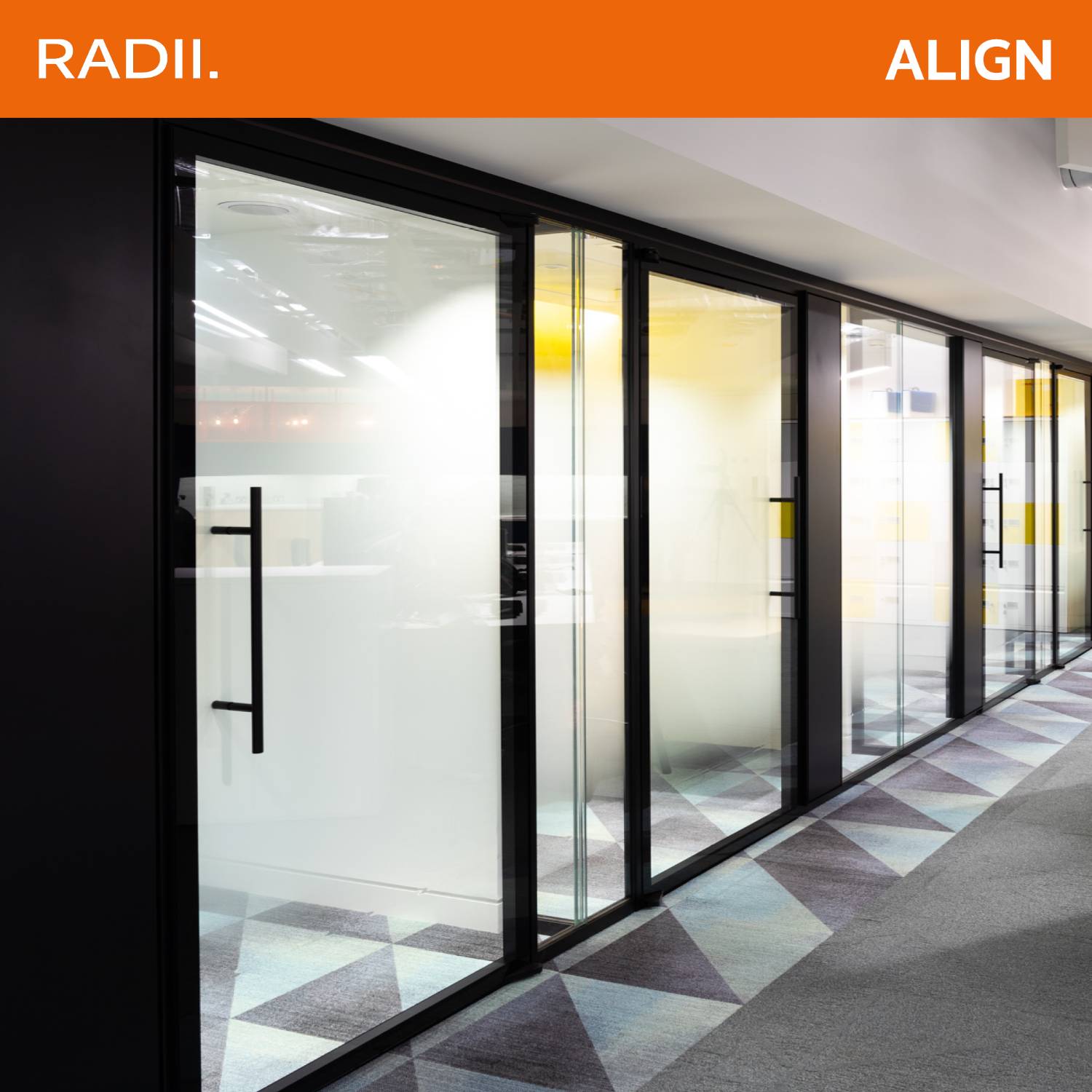 Align Flush Bonded Glazed Pivoting Door - Pivoting Door | Radii | NBS ...