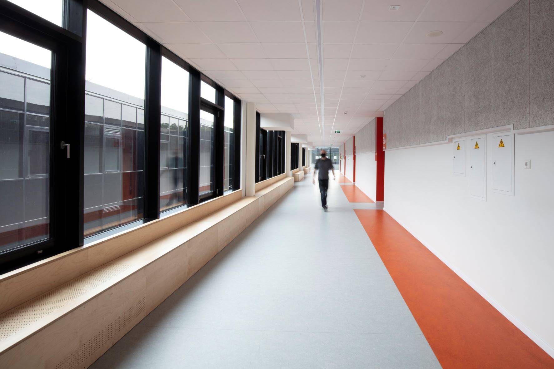More than Meets the Eye - Perforated Acoustic Riga Wood Birch Plywood ...