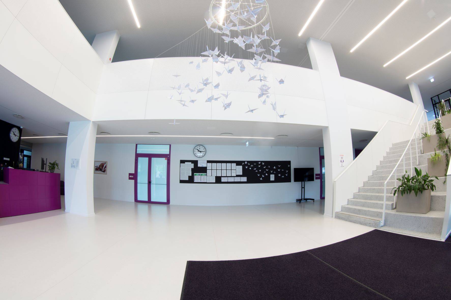 More than Meets the Eye - Perforated Acoustic Riga Wood Birch Plywood ...