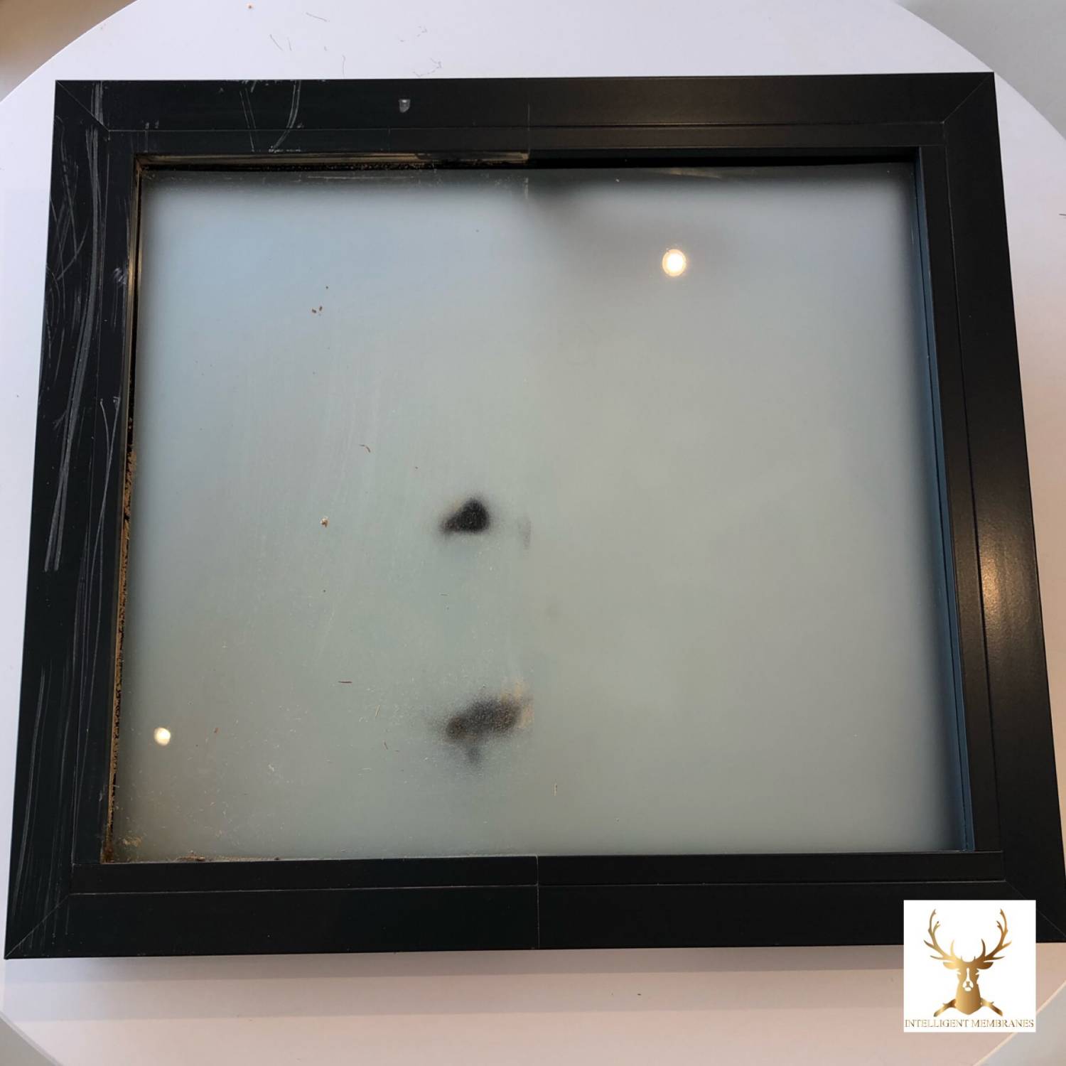 INTELLIGENT PROTECT - Spray-on Window Protection | Intelligent ...