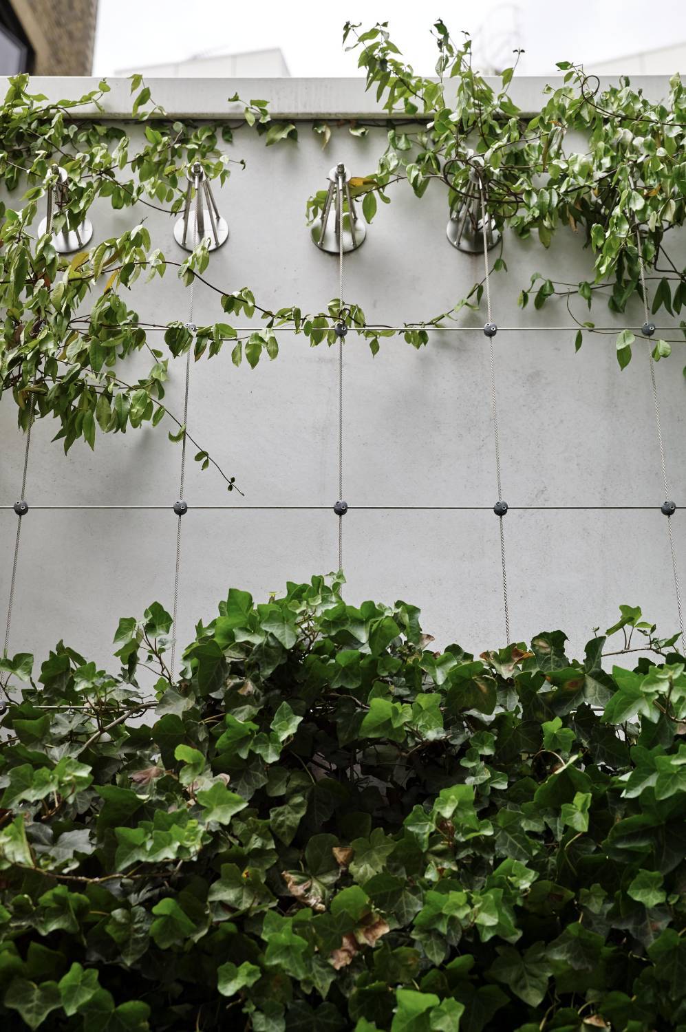 JAKOB Green Wall – Rope and Rod Trellis | MMA Architectural Systems Ltd ...