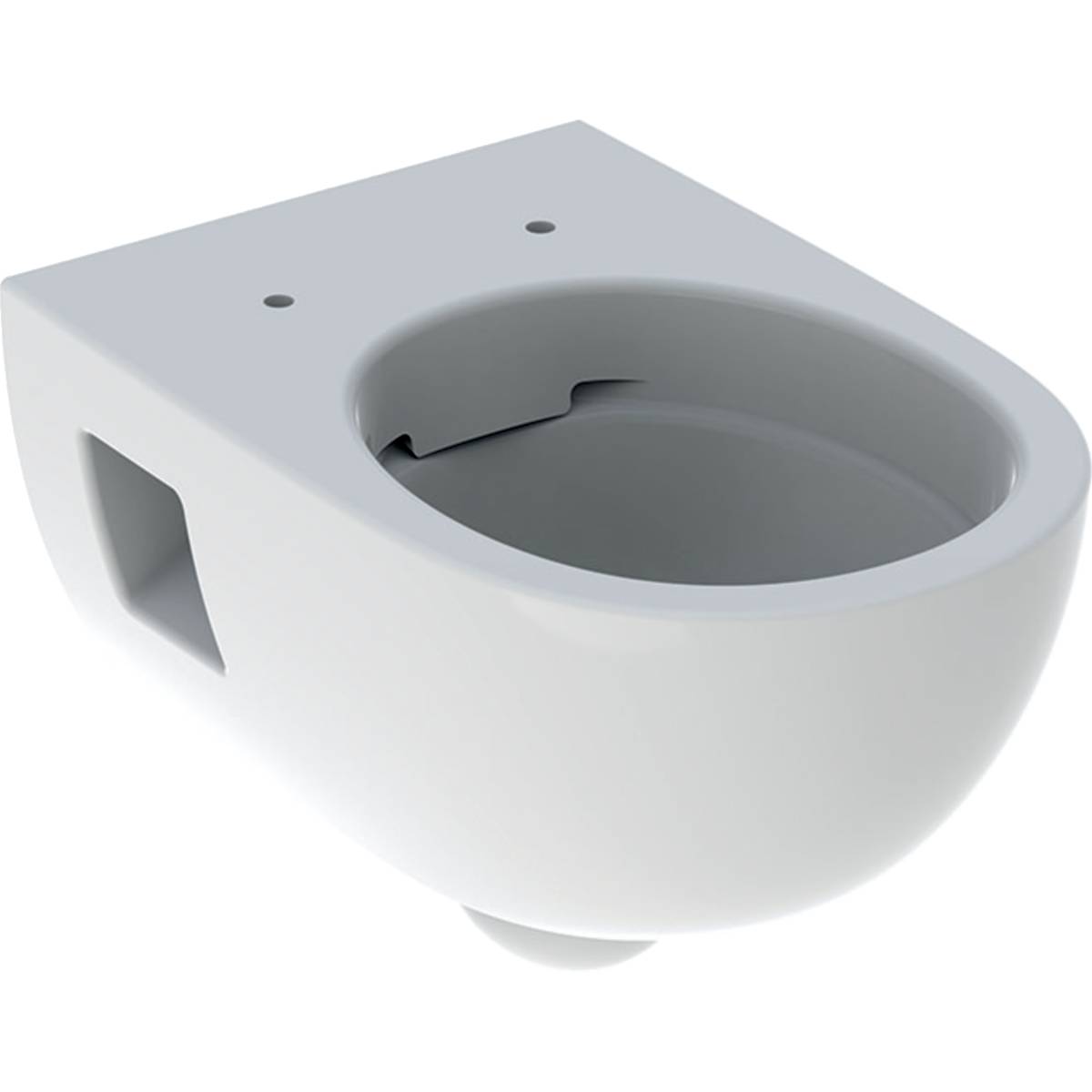 Selnova Wall-Hung WC, Washdown, Semi-Shrouded, Rimfree | Geberit Sales ...