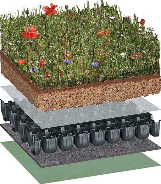 Bauder Sedum Plug Plants Extensive Green Roof System, Pitched Roof ...