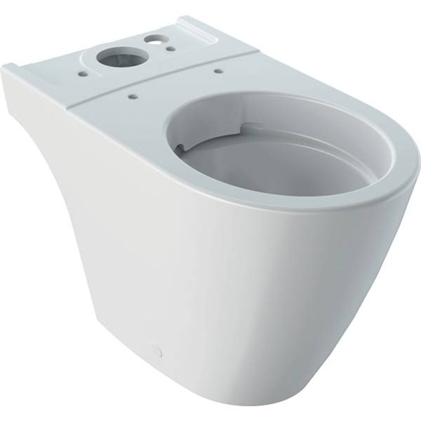 iCon Floor-Standing WC For Close-Coupled Exposed Cistern, Washdown ...