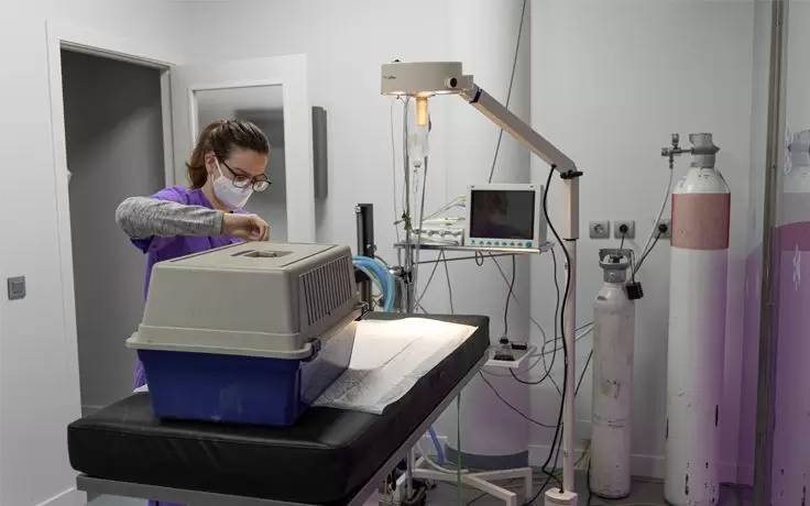 Hygienic coatings | NBS Source