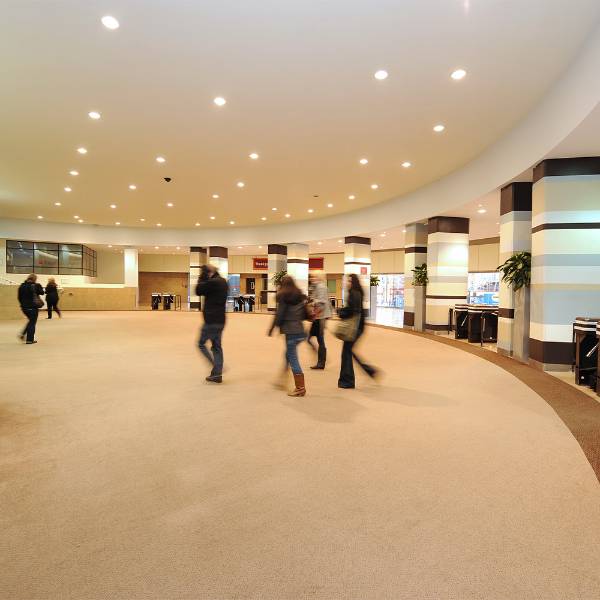 Adventurer - Carpet Tile | Gradus | NBS Source