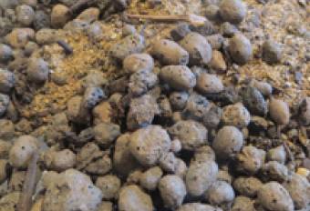 Boughton Biodiverse Green Roof Substrate | Boughton Loam | NBS Source