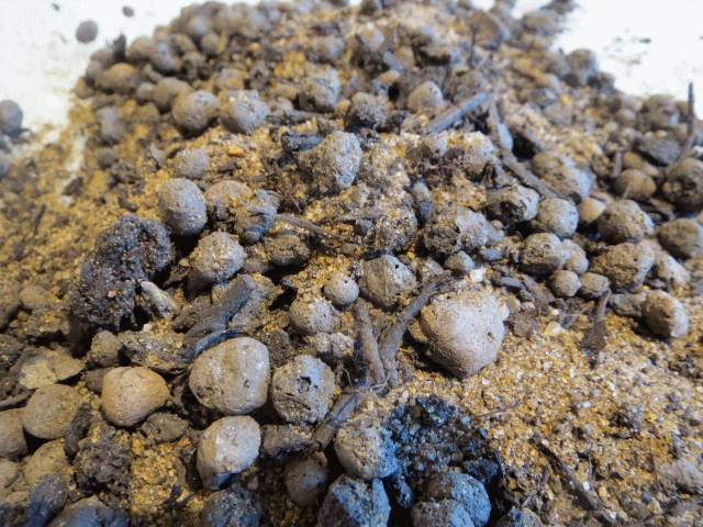 Boughton Biodiverse Green Roof Substrate | Boughton Loam | NBS Source