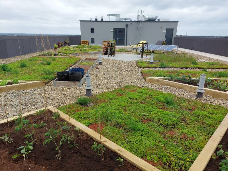Green roof community engagement project featuring moving the green roof ...